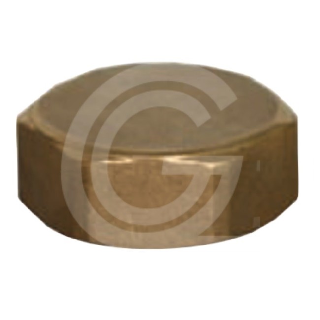 Brass threaded stop cap : Brass threaded stop cap 1"